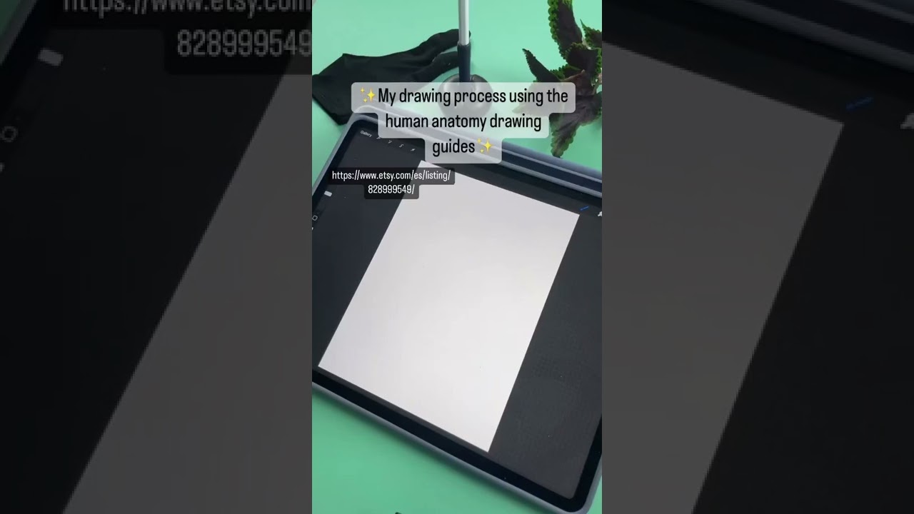 ✨Drawing human anatomy that simple in procreate✨