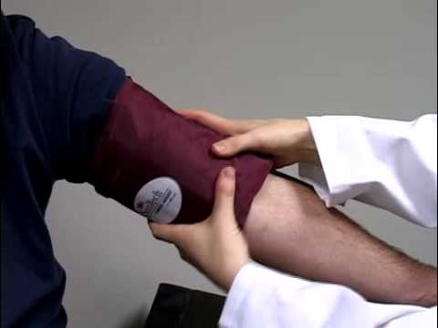 Proper Blood Pressure Cuff Sizing by SunTech Medical