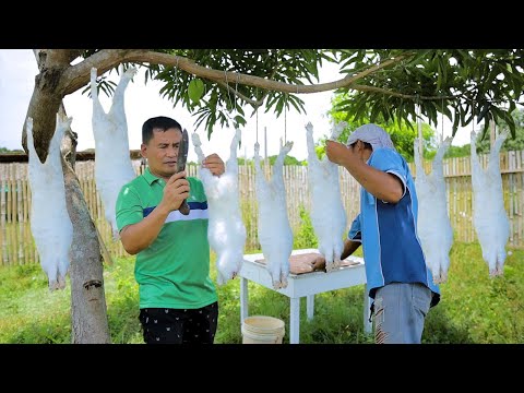 A Mind-blowing SECRET in RABBIT FARMING!! Raising thousands of Rabbits for Meat ( Amazing!! )
