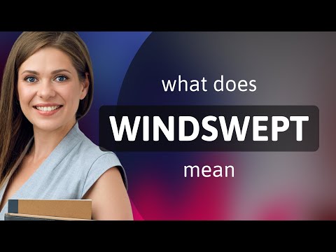 Windswept | meaning of WINDSWEPT