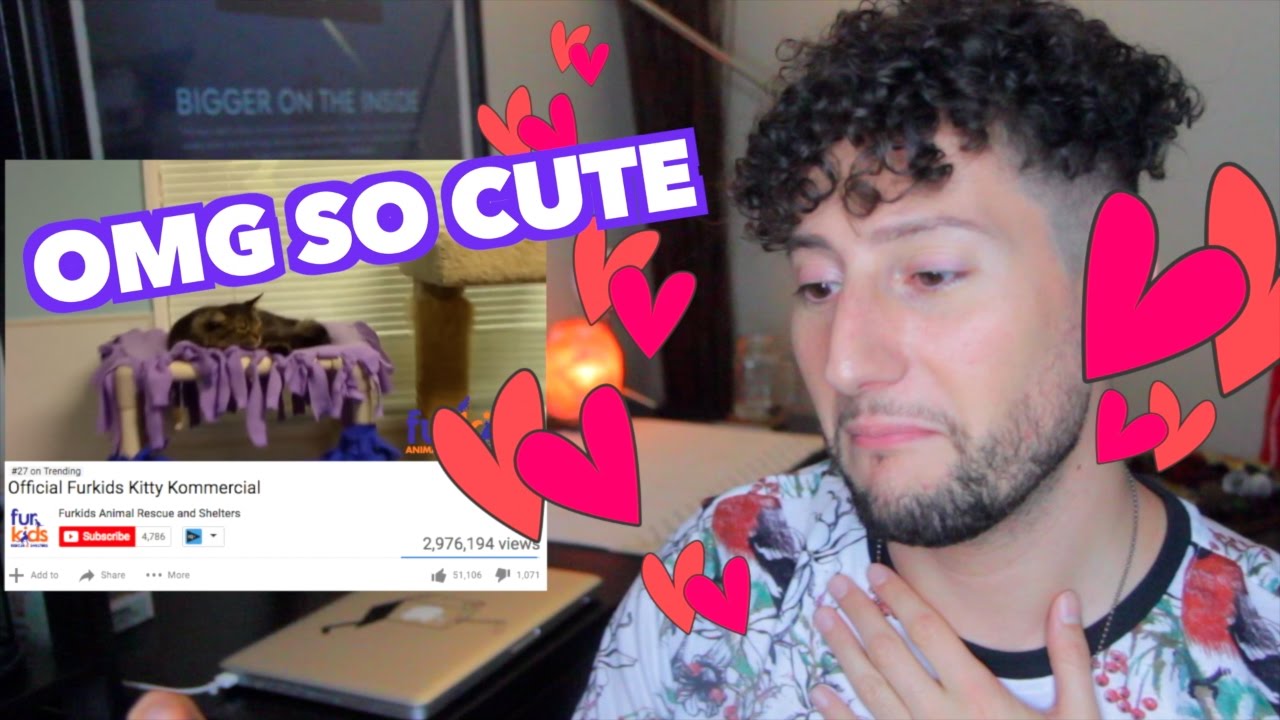 Official Furkids Kitty Kommercial REACTION