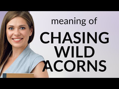 Unraveling the Mystery: The Meaning of "Chasing Wild Acorns"