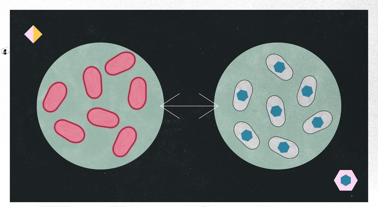 MICA Lab: bacterial cooperation
