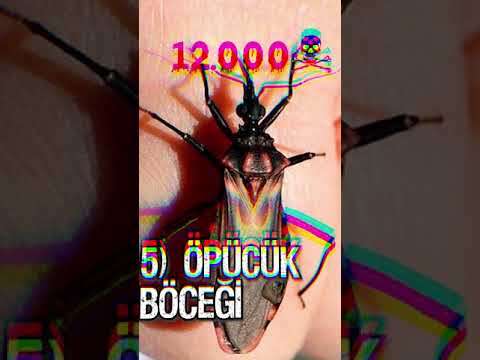 EN ÖLÜMCÜL HAYVAN!😱 Sonu Şok Edecek! ☠ #shorts