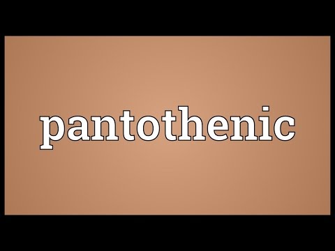 Pantothenic Meaning