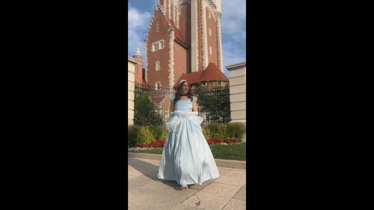 Premium Cinderella Princess Moment