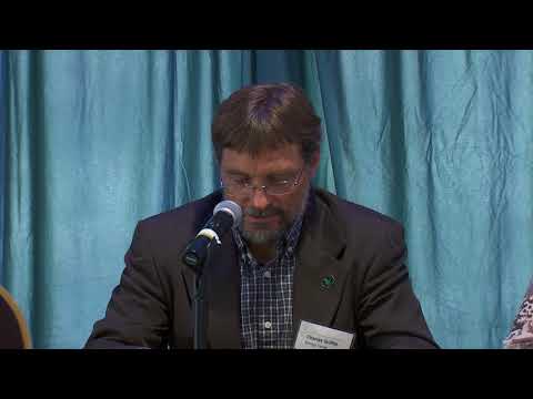 Panel: Bringing Decarbonized Electricity to Transportation
