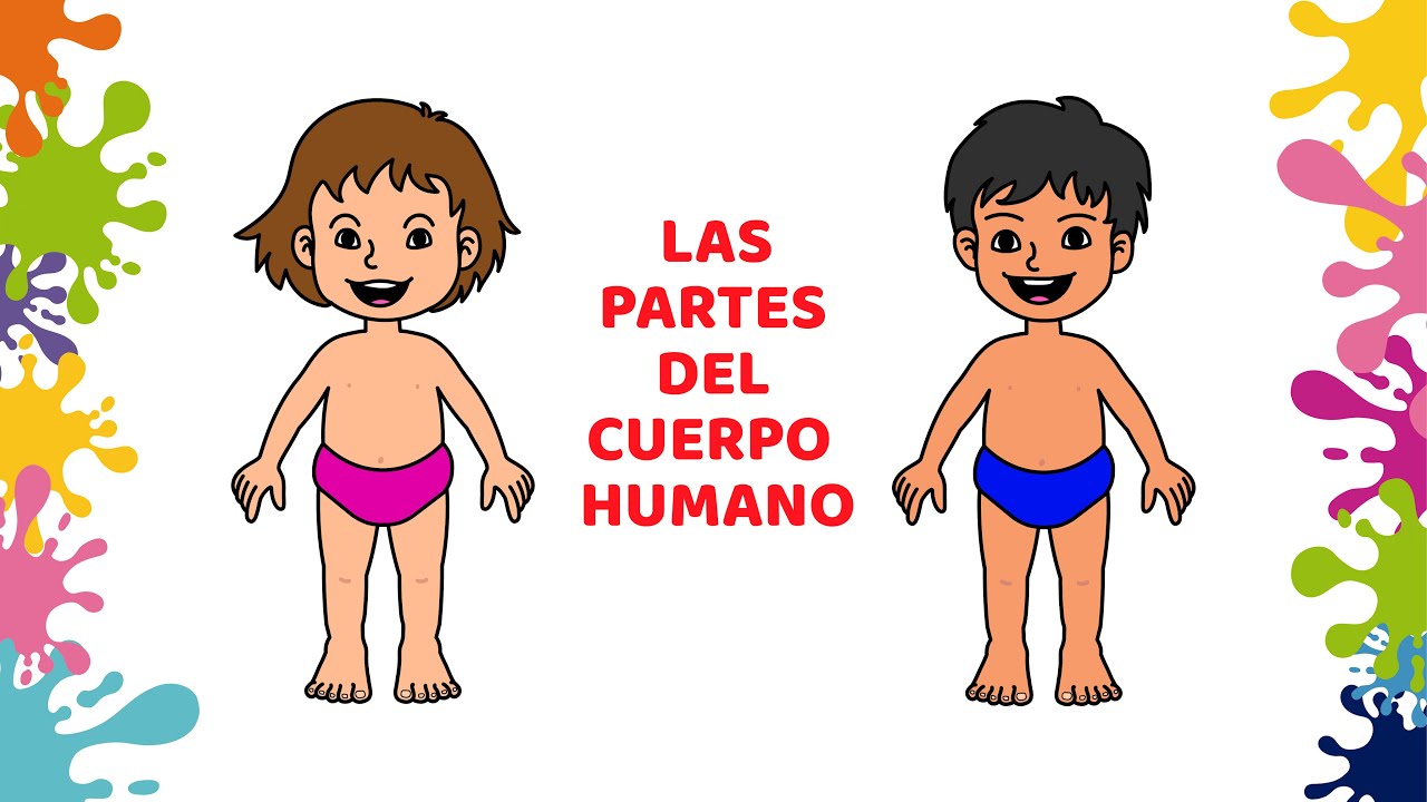 Las partes del cuerpo humano para niños