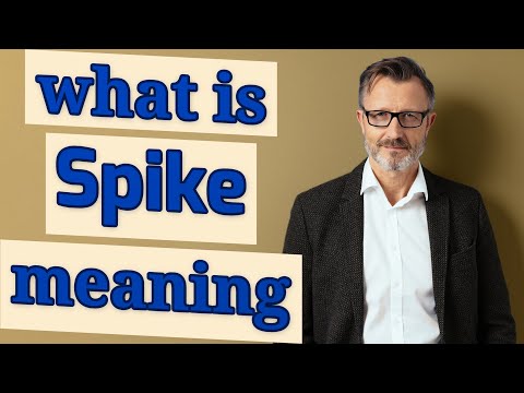 Spike | Meaning of spike