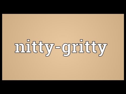 Nitty-gritty Meaning