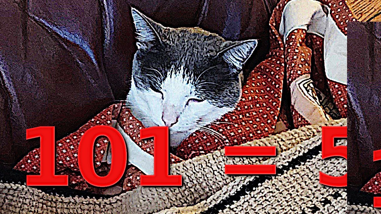 Using Java to Convert a Binary Number to a Decimal Number