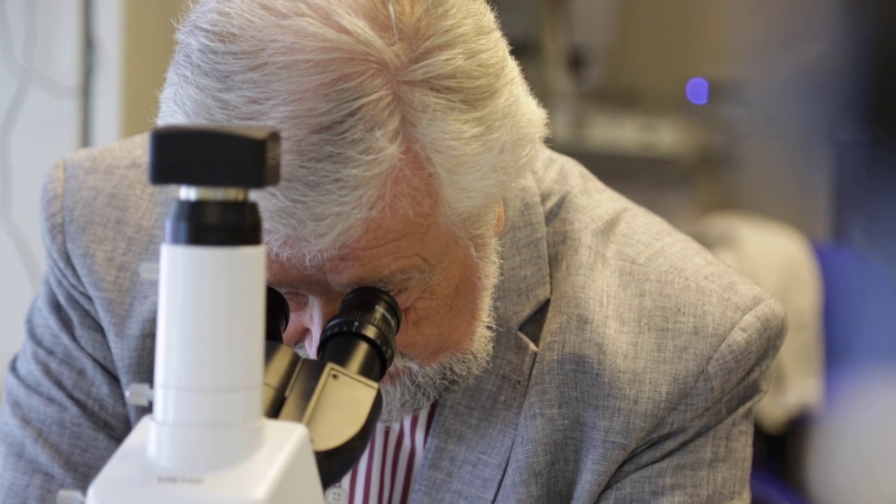 Brunel Microscopes : A Company Overview