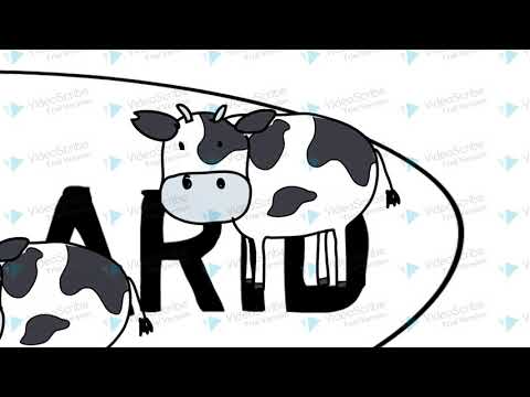 semi arid