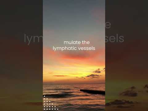 Manual Lymph Drainage FACT 2