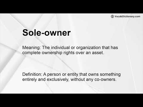Sole-owner Meaning