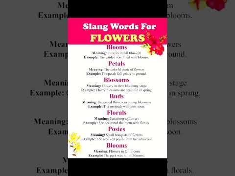 English_Slang_Word. #flowers #slang #vocabulary #antonym #synonyms#education #ytshorts#learnenglish
