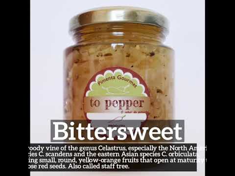 What is Bittersweet? | How to Say Bittersweet in English? | How Does Bittersweet Look?
