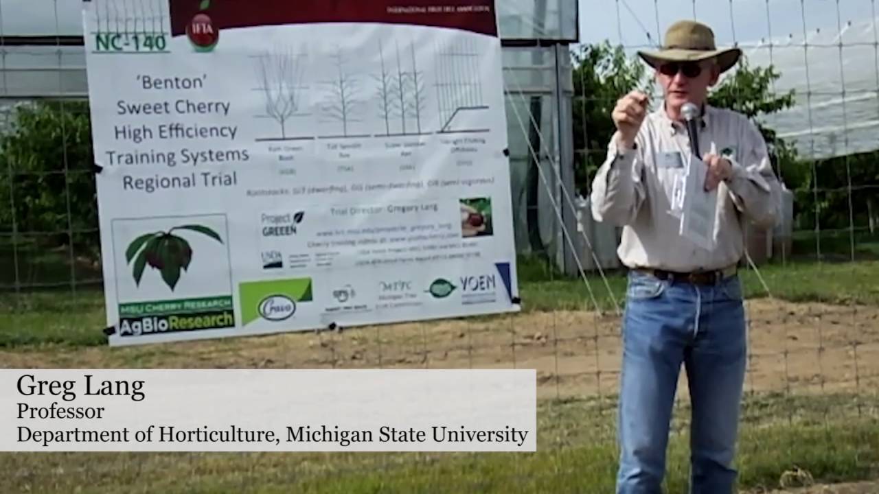 Sweet Cherry Orchard Designs Optimize Efficiency — FGNtv
