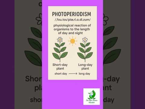 "Photoperiodism | Pronunciation & Meaning Explained in 30 Seconds" #pronunciation #meaning