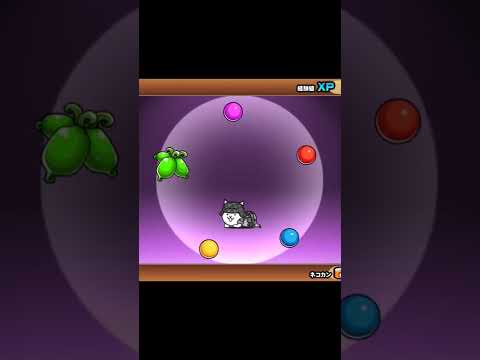 True Form - Cameraman Cat (ネコカメラマンの進化) Battle Cats