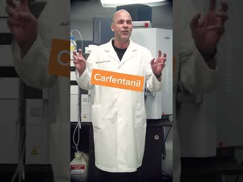 What is the most dangerous Opiate?