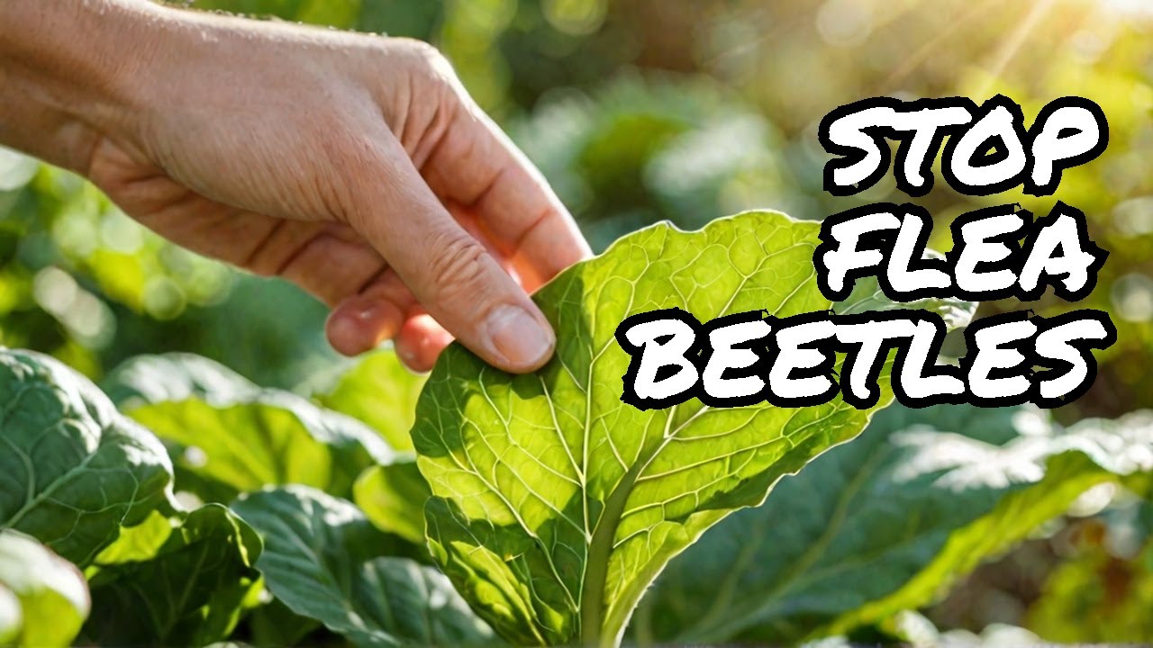 Tiny Garden Invaders Stop Flea Beetles Before They Destroy Your Veggies
