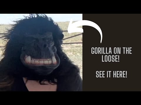Gorilla Mask