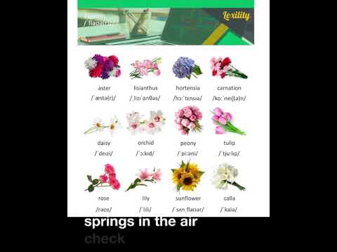 Flowers #englishlistening #vocabulario #englishvocabulary