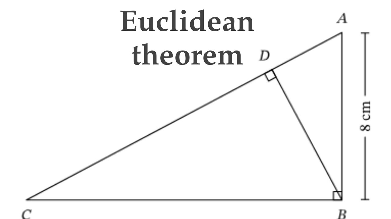 Euclidean theorem #maths #geometry