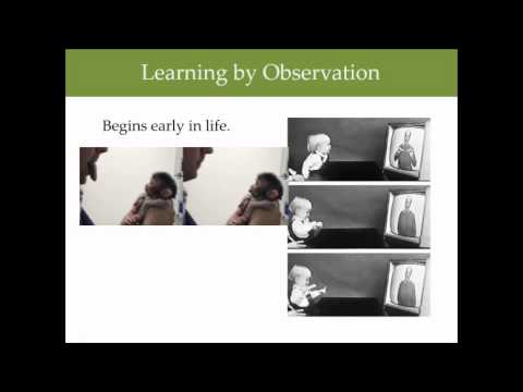 Exploring Psych Ch 7 Observational Learning