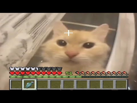 Minecraft cat screaming into camera
