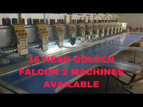 URGENT SELL 15 head 400×800=1300 golden falcon 2 machine single server