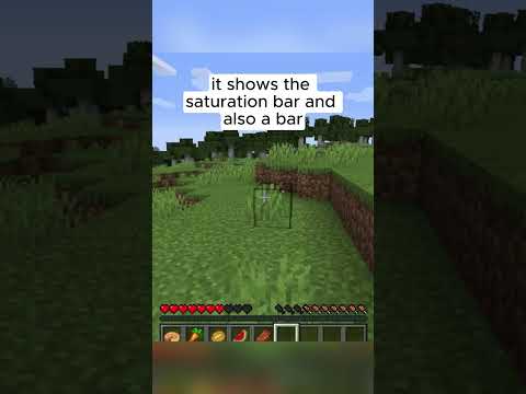 Improved HUD | AppleSkin | Mod review #3