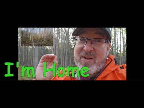 Bush Walk - Costa Rica Channel Update: I am Home