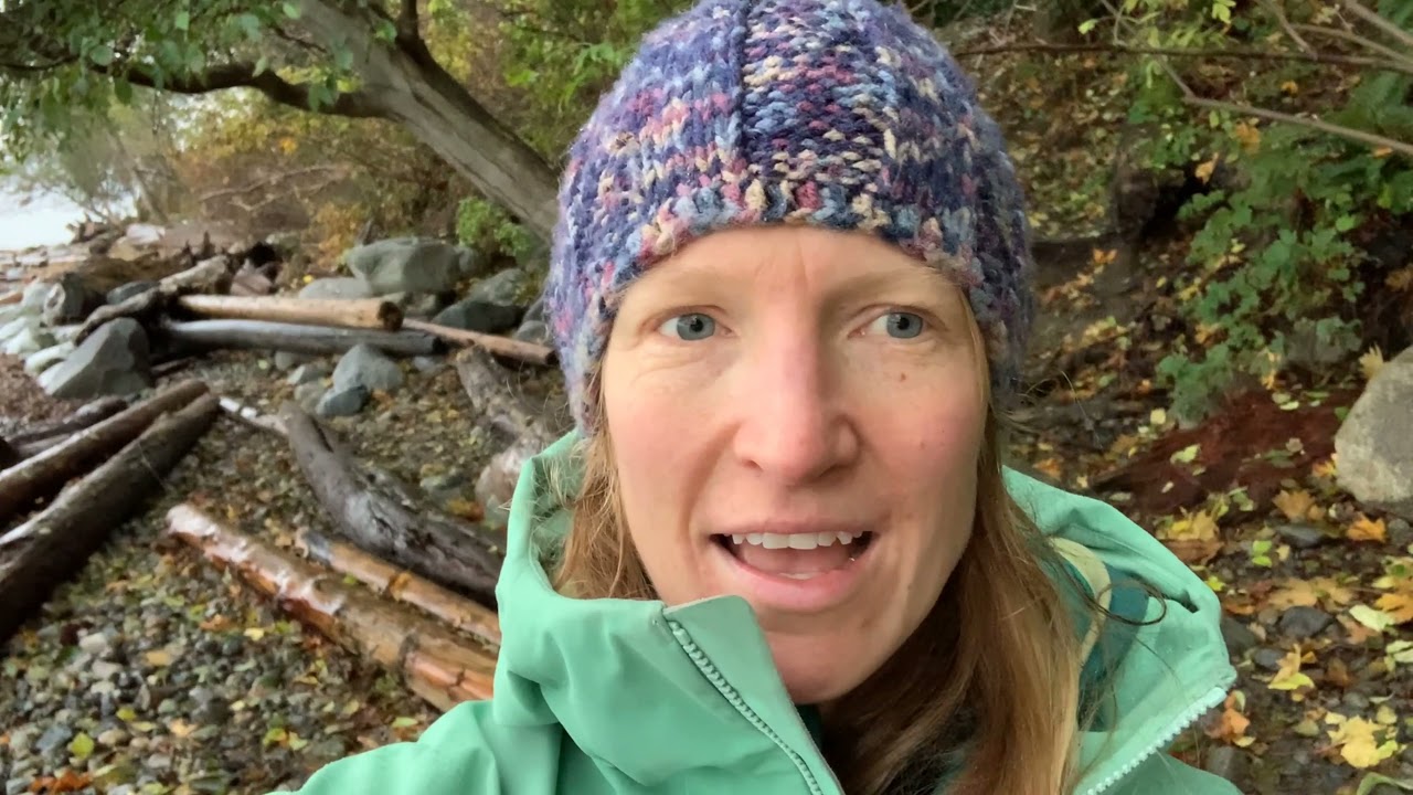 Decolonization: A Critical Perspective