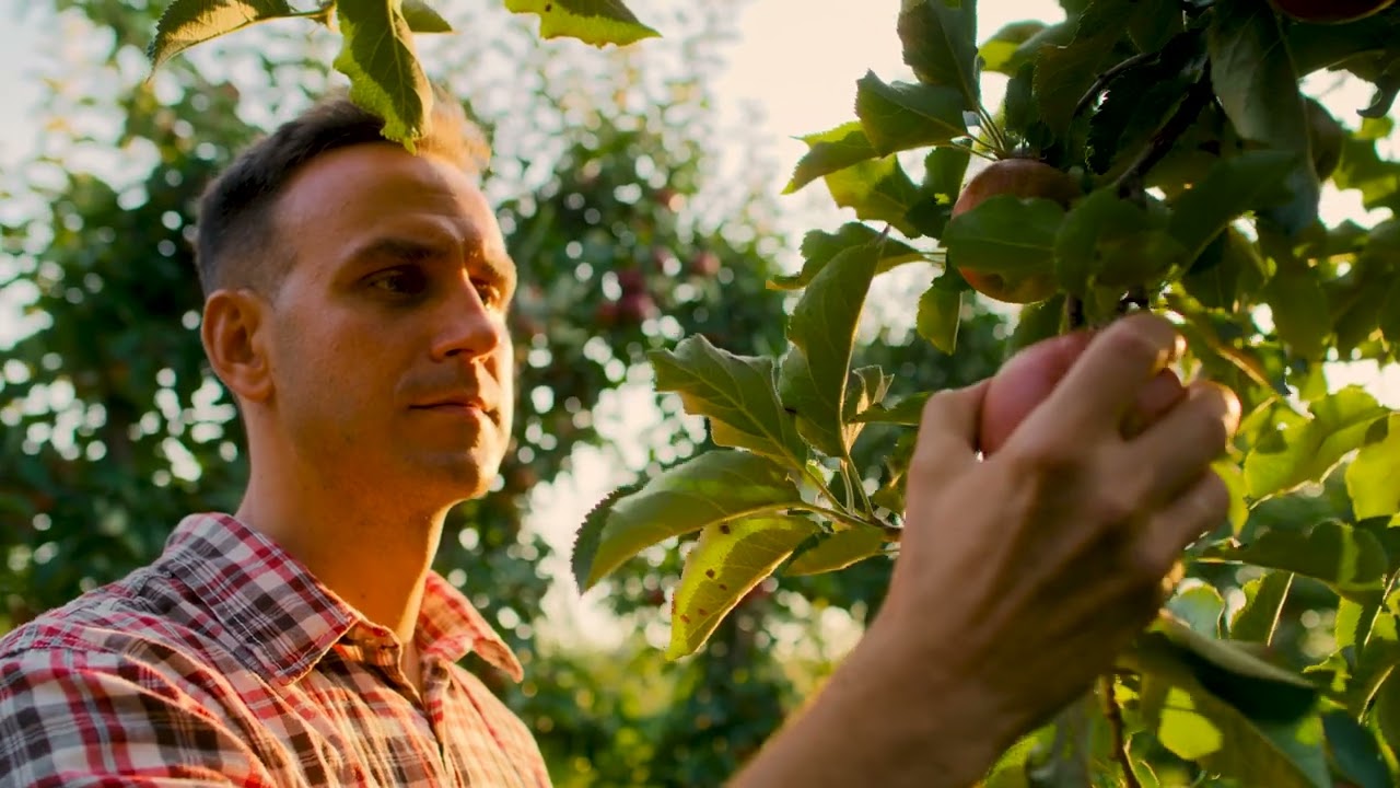 Wikifarmer: Transforming Agriculture