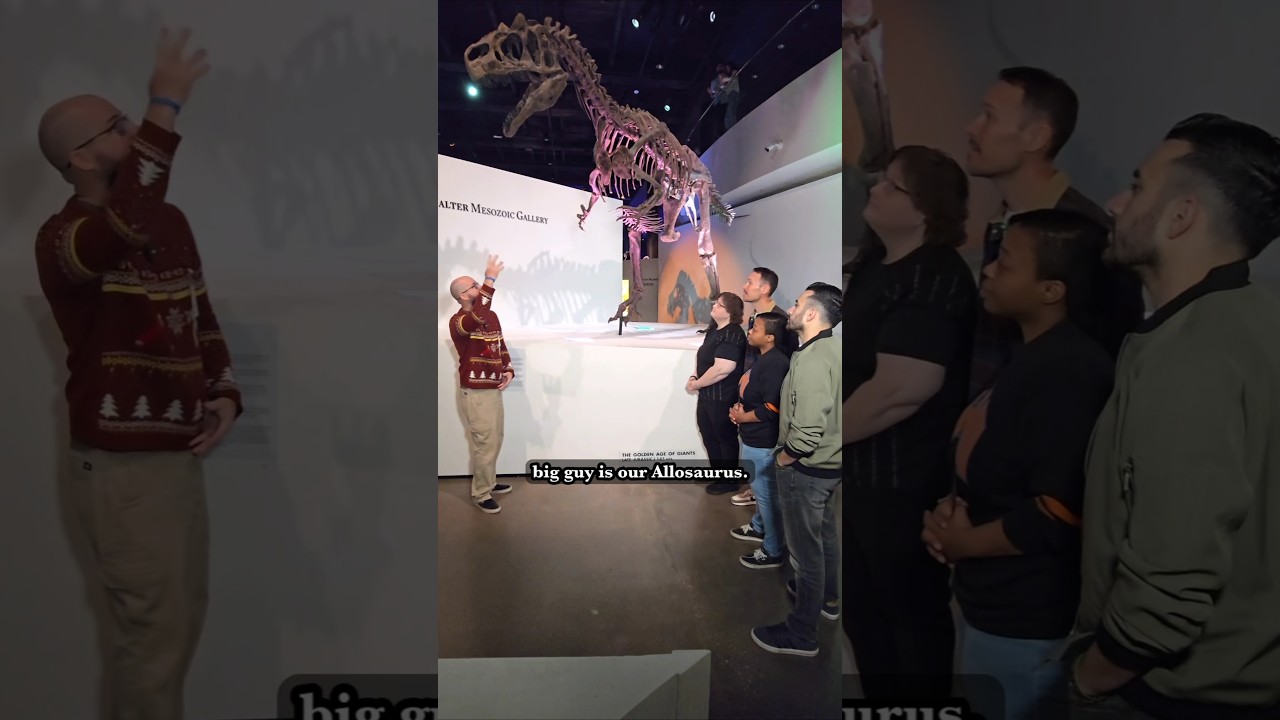 Allosaurus, Stegosaurus, Gorgosaurus, ...and Dorkosaurus #dinosaur #fossil #paleontology