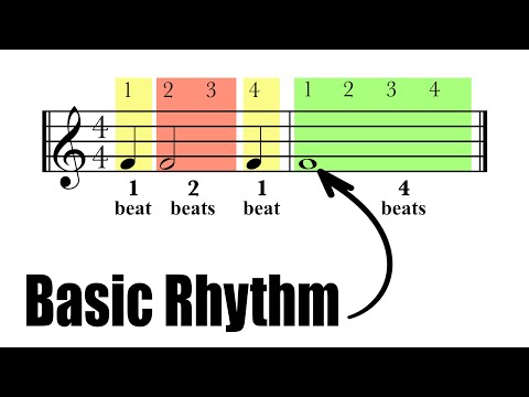 Understanding Basic Rhythm | Whole Notes, Half Notes, Quarter Notes | Music Theory Tutorial