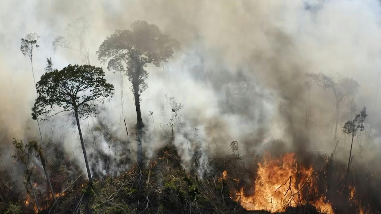 New record for deforestation in the Brazilian Amazon in 12 years | AFP