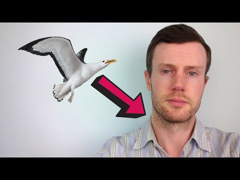 Idiom Origins | An Albatross Around Your Neck