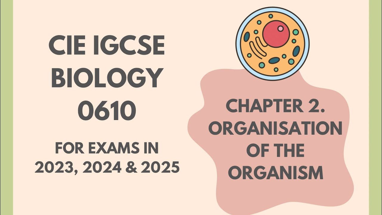 Understanding the Organization of the Organism: A Comprehensive Guide to Cells and Their ...