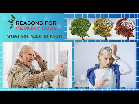 Understanding Memory Loss Causes and Solutions || The Root Causes of Memory Loss