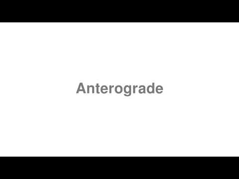 How to Pronounce "Anterograde"