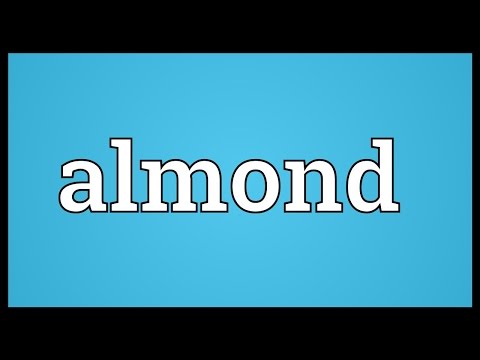 Almond Meaning