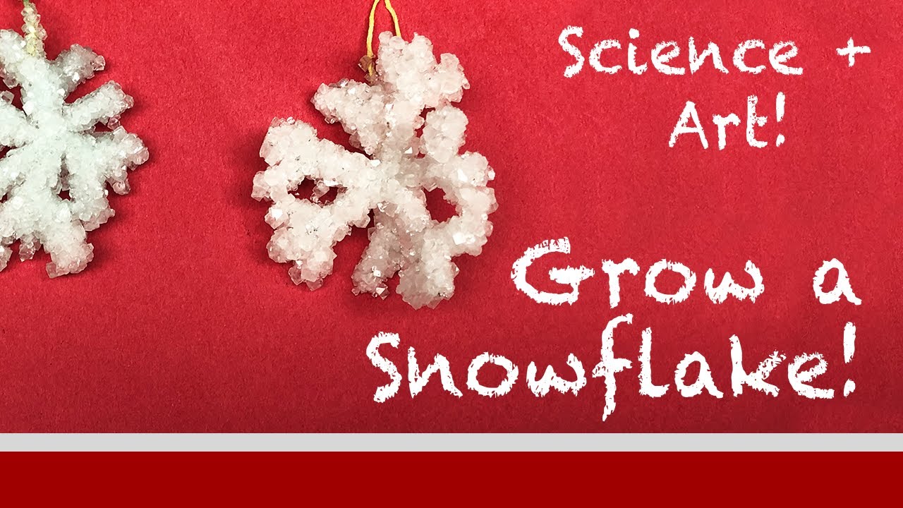Grow a Snowflake ❄️ - Super Fun Science Project for Kids!