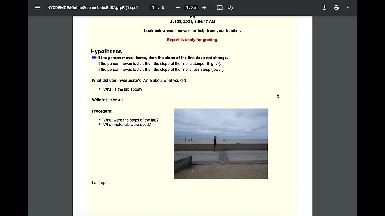 How to make the PDF lab report