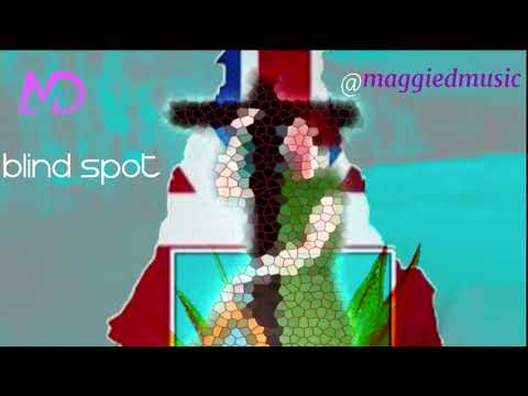 Blind Spot by Maggie D