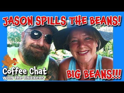 JASON'S SPILLING THE BEANS...HUGE BEANS! tiny house, homesteading, cabin build, DIY HOW TO