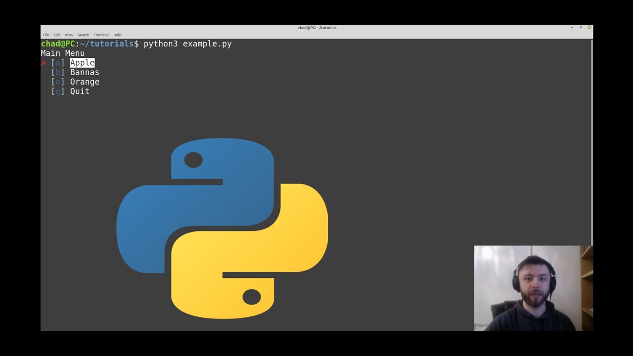 Simple menus in  python