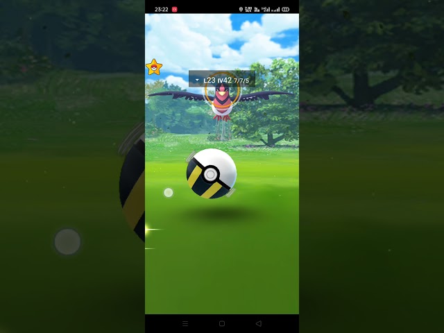 Swellow Pokémon: How to catch, Stats, Moves, Strength, Weakness, Trivia ...